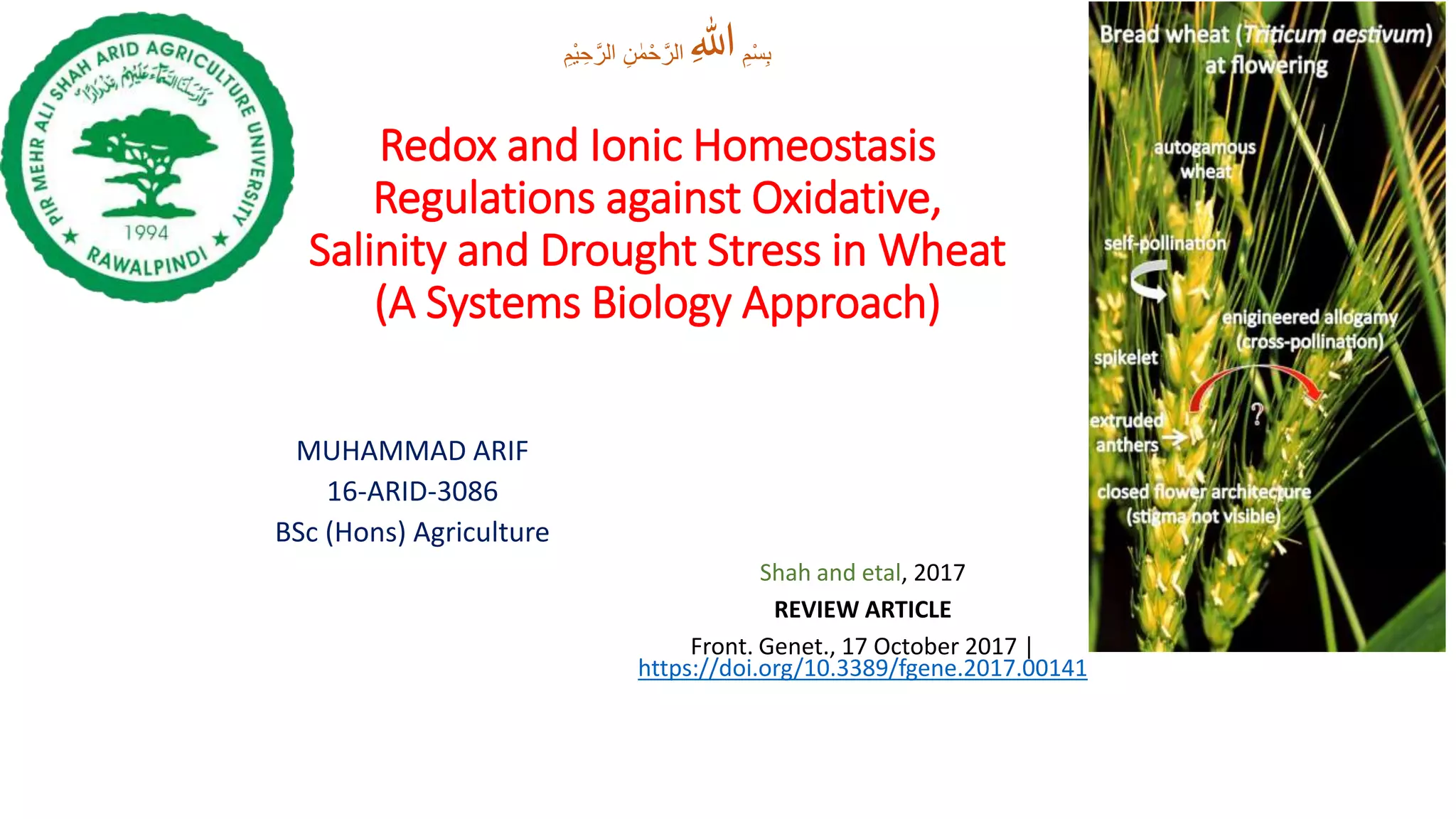 Redox and ionic homeostasis regulations against oxidative, salinity and ...