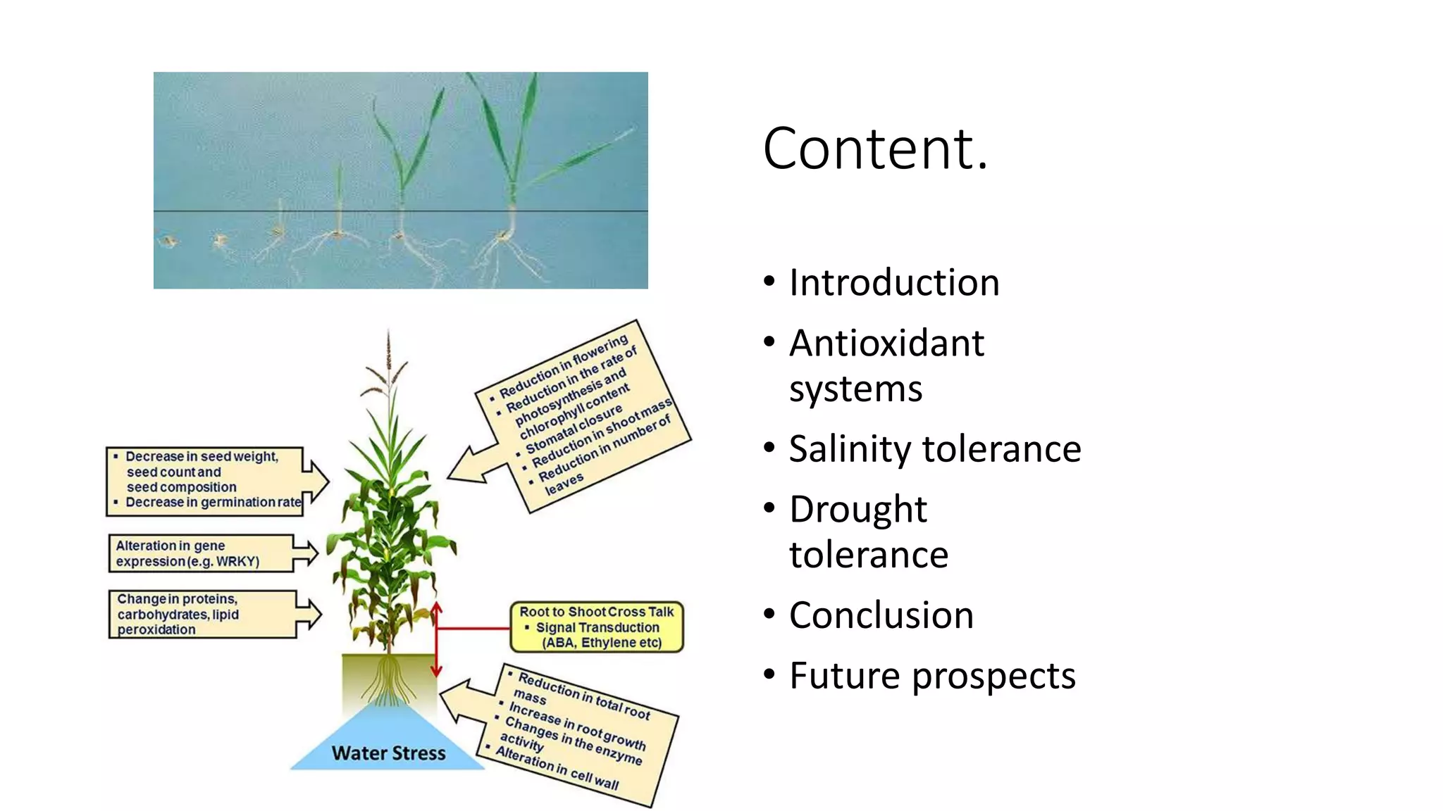 Redox and ionic homeostasis regulations against oxidative, salinity and ...
