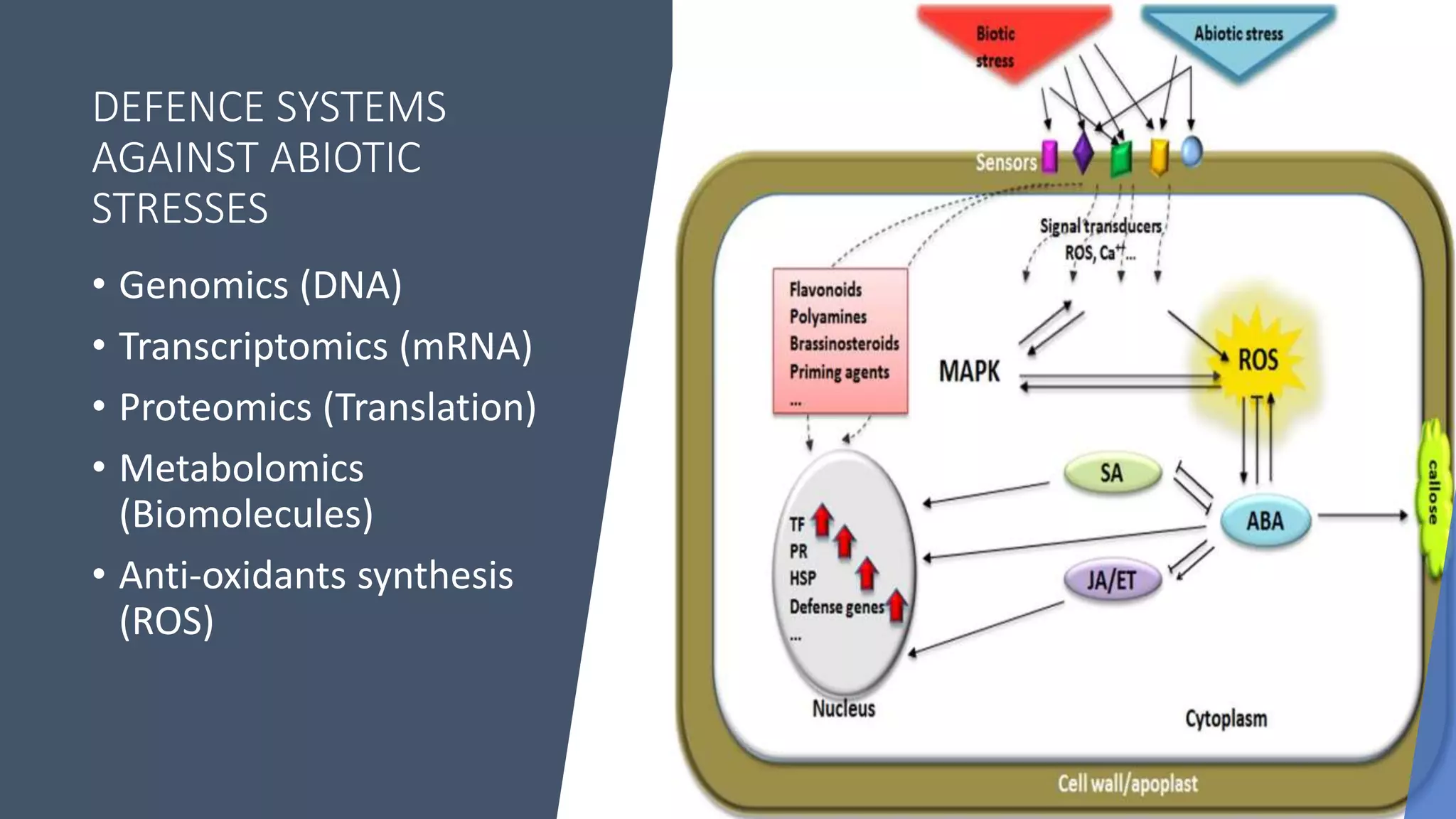 Redox and ionic homeostasis regulations against oxidative, salinity and ...