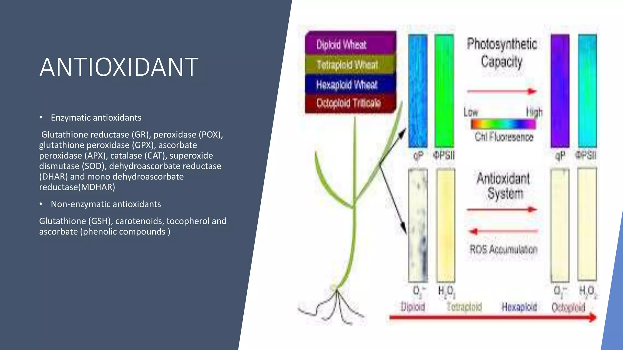 Redox and ionic homeostasis regulations against oxidative, salinity and ...