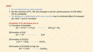 REDOX POTENTIAL MEASUREMENT AND ITS APPLICATION IN SOIL FERTILITY | PPTX