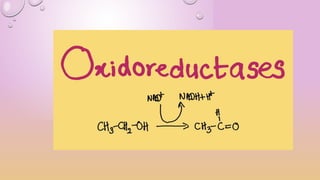 Redoxreaction, oxidation and reduction -Microbial physiology.pptx