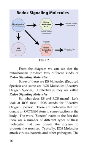 Redox Signaling Molecules by Aaron Murakami | PDF