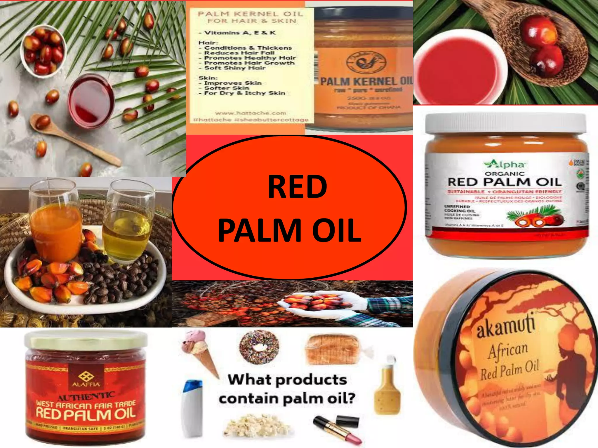RED PALM OIL.pdf