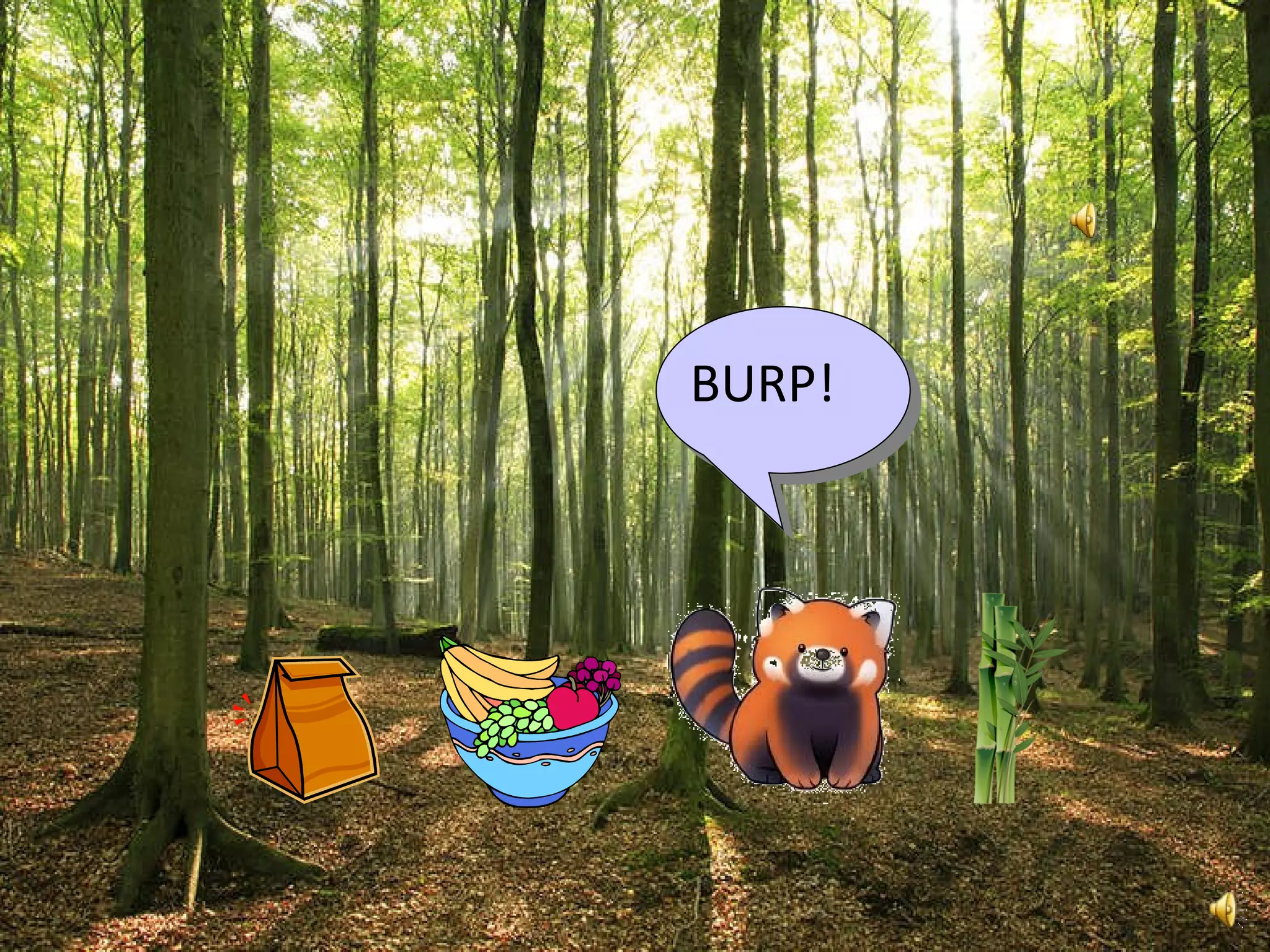 Diary of a Red Panda | PPT