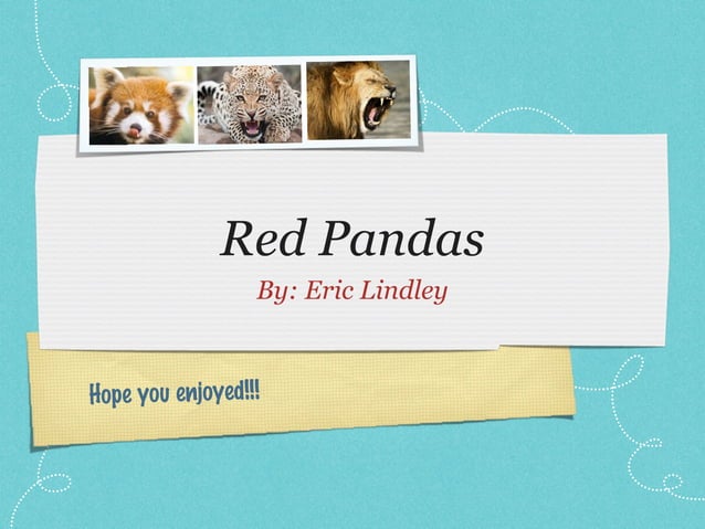 Red panda ppt new | PPT
