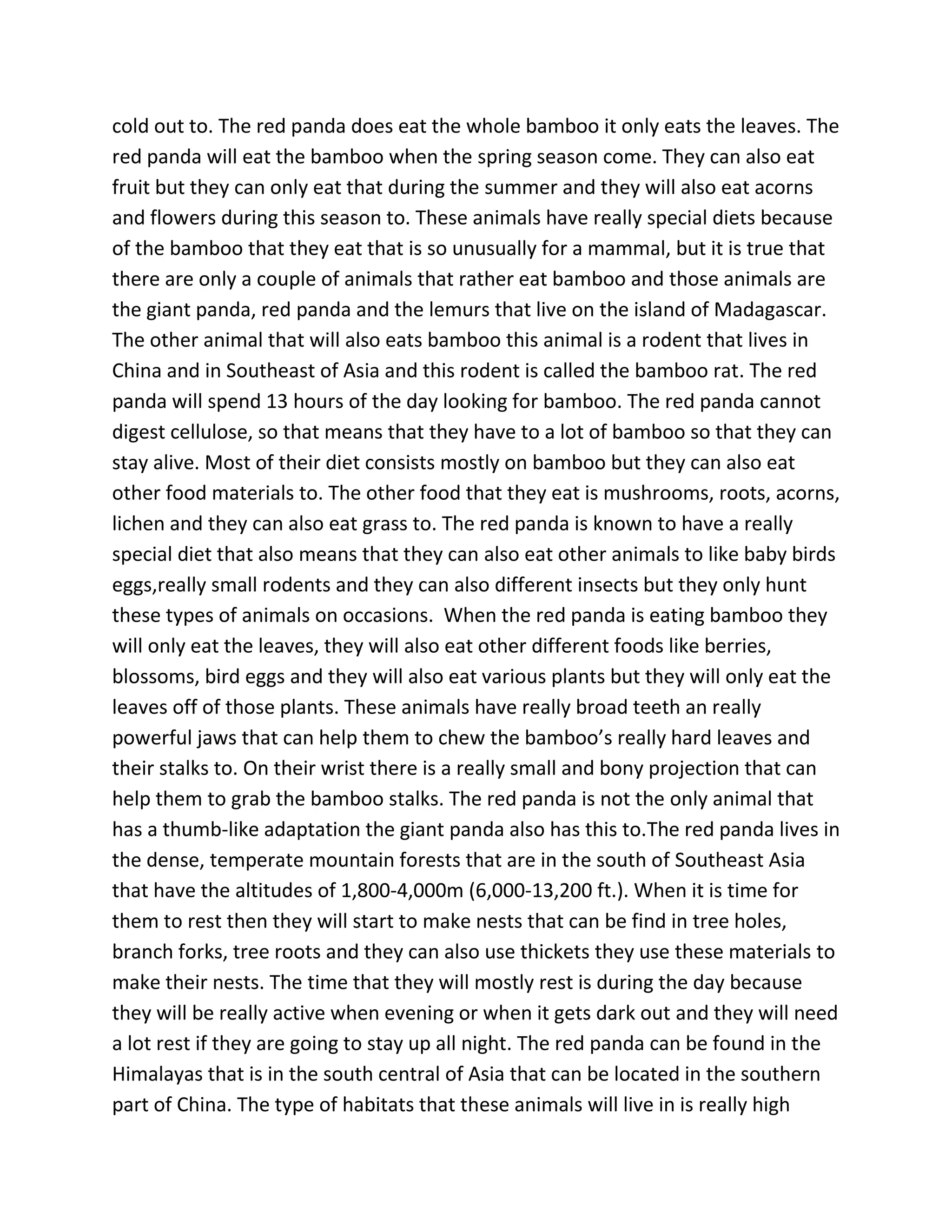 Red panda report for ariel hyers | DOCX