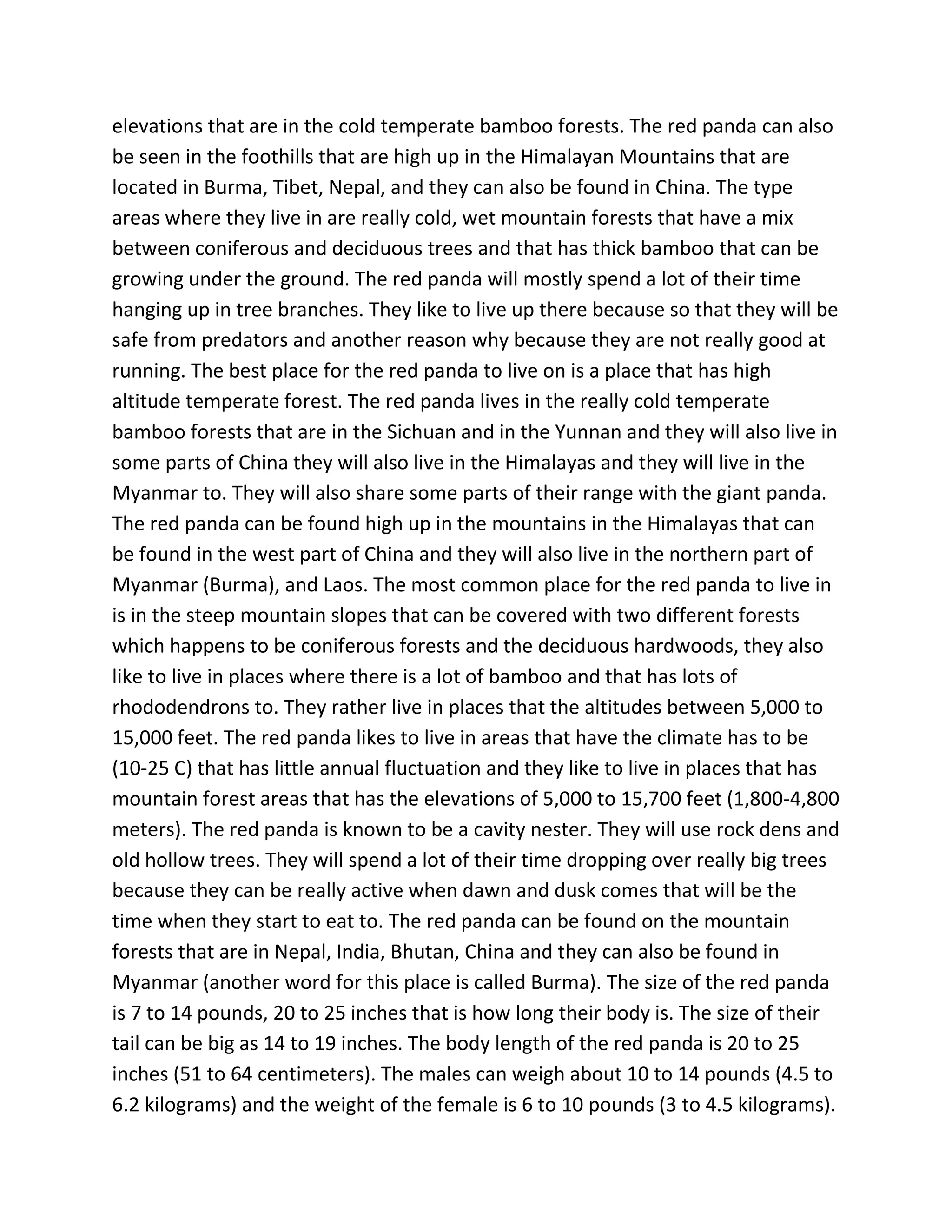 Red panda report for ariel hyers | DOCX