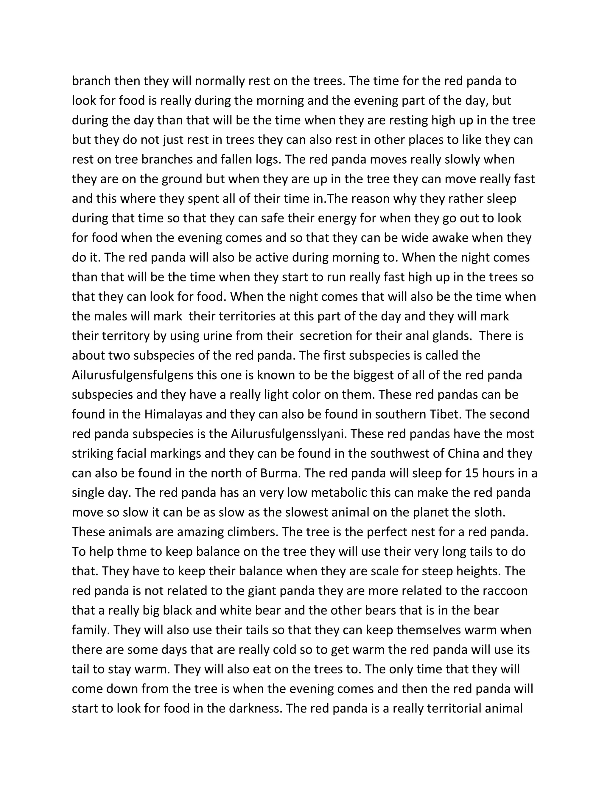 Red panda report for ariel hyers | DOCX