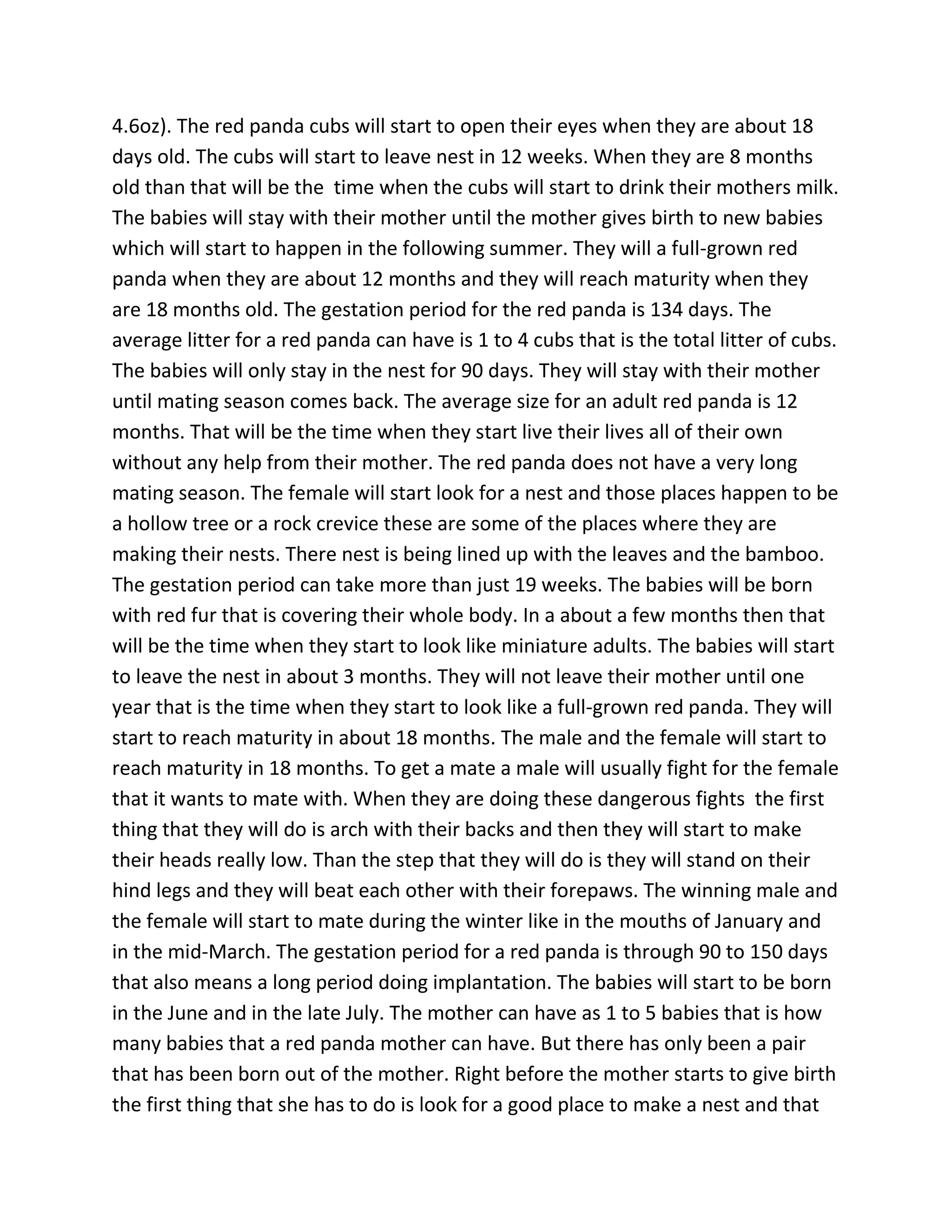 Red panda report for ariel hyers | DOCX