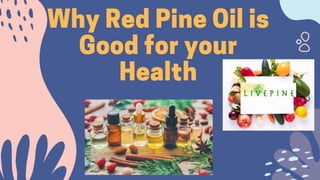 Red pine needle oil | PPTX
