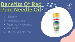 Red pine needle oil | PPTX
