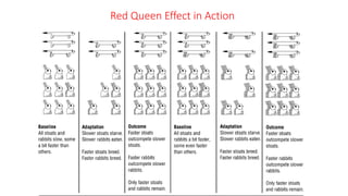 Red Queen Effect and Blue Ocean Strategy | PDF