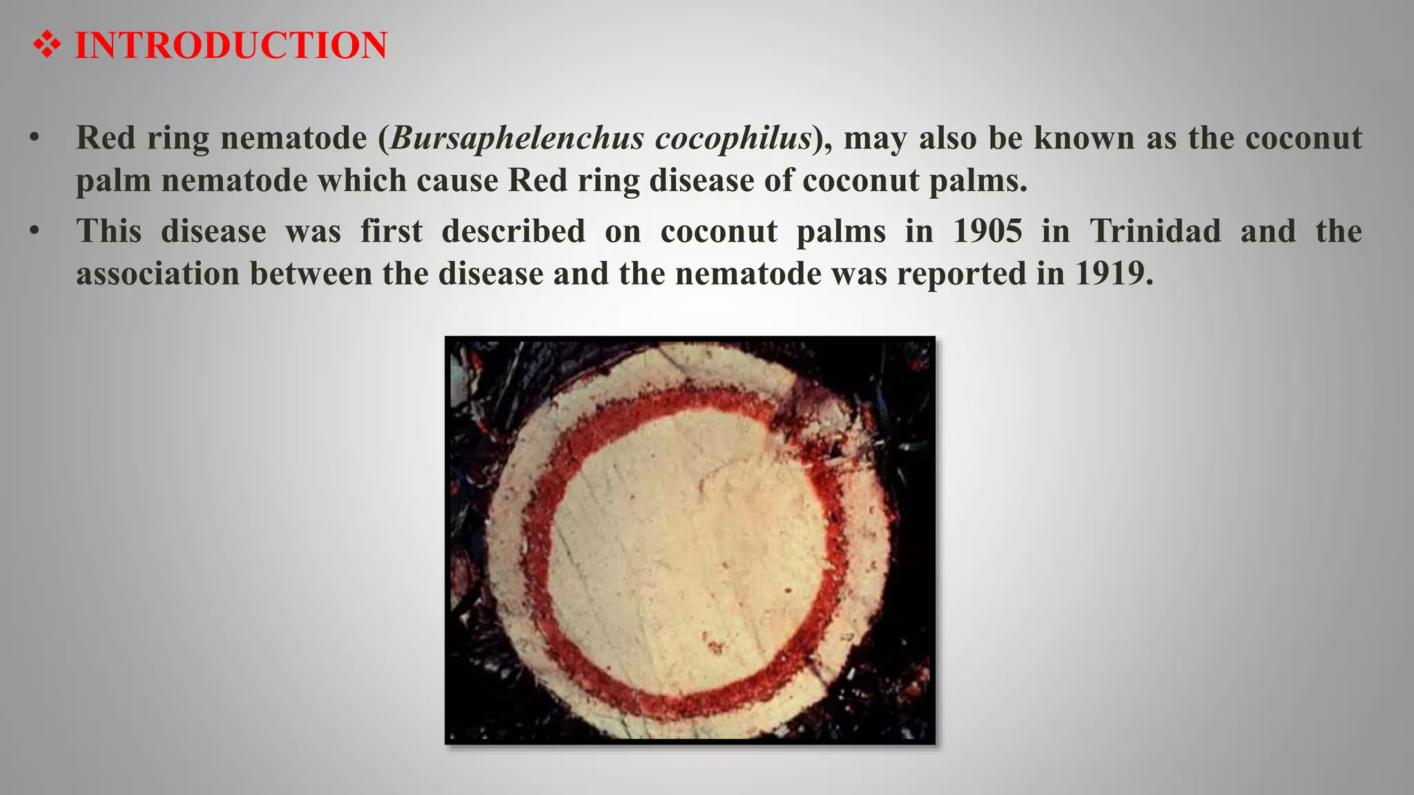 RED RING NEMATODE PRESENTATION.pptx