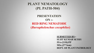 RED RING NEMATODE PRESENTATION.pptx