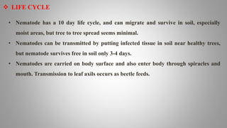 RED RING NEMATODE PRESENTATION.pptx