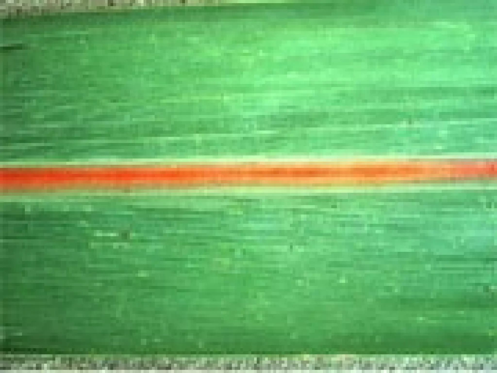 Red rot of sugarcane | PPT