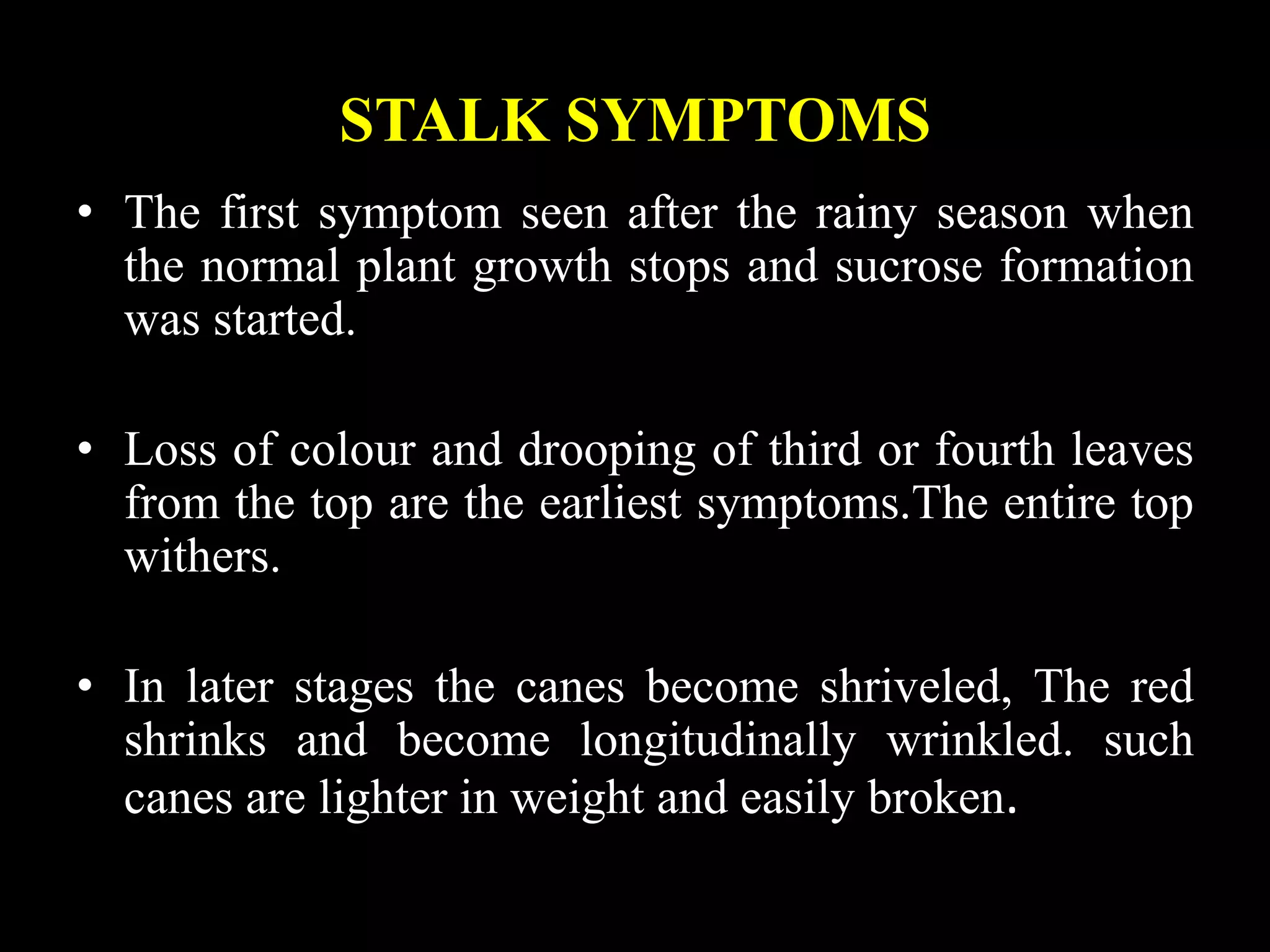 Red rot of sugarcane | PPTX