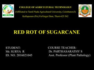 Red rot of sugarcane | PPTX