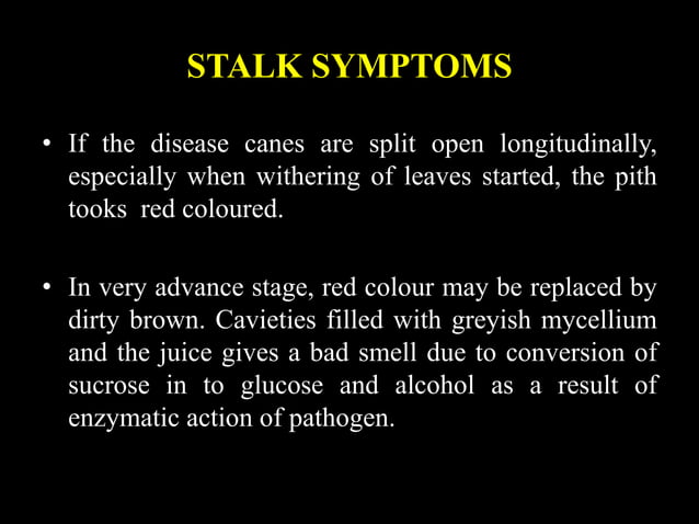 Red rot of sugarcane | PPTX