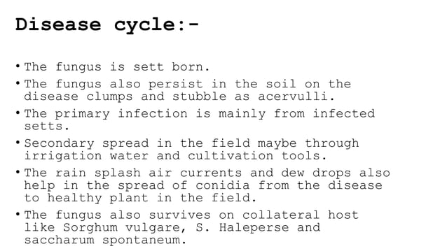 Red rot of sugarcane and there causes by clostridium falcatum virus. | PPT