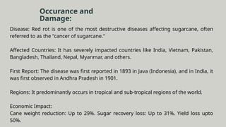 Red rot of Sugarcane and it's management | PPTX