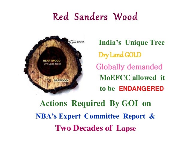 Red sanders action required by Govt of India and It's progress