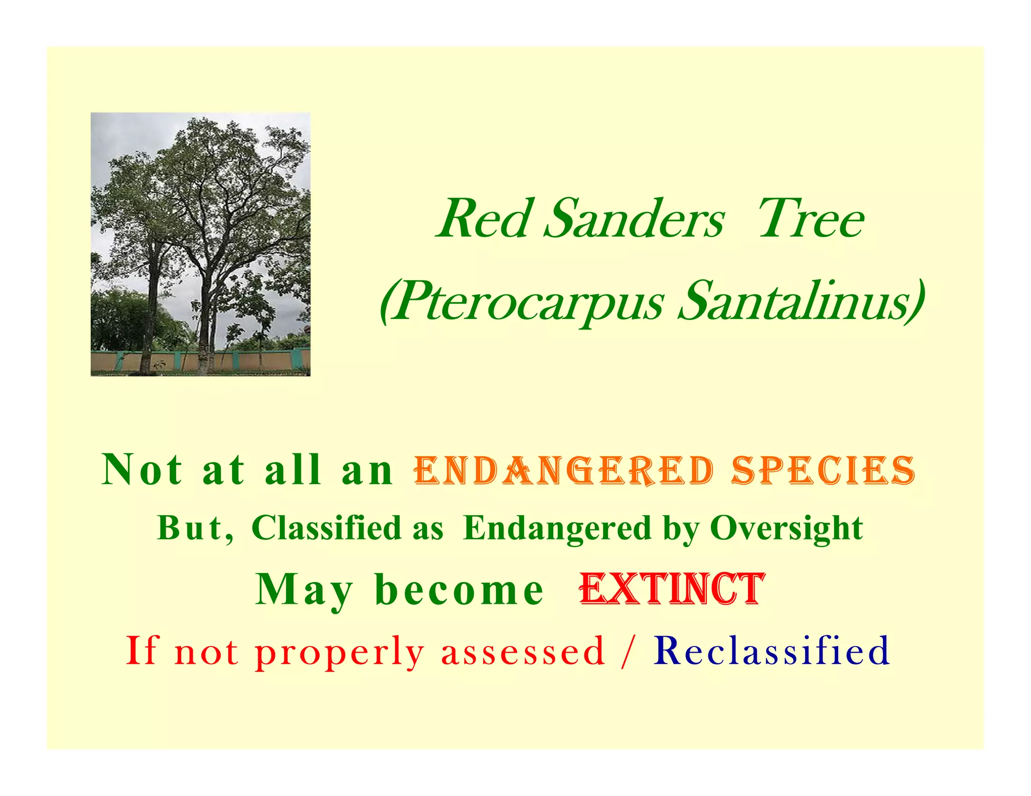 Red sanders is not an Endangered Species. Representation to IUCN by RP ...
