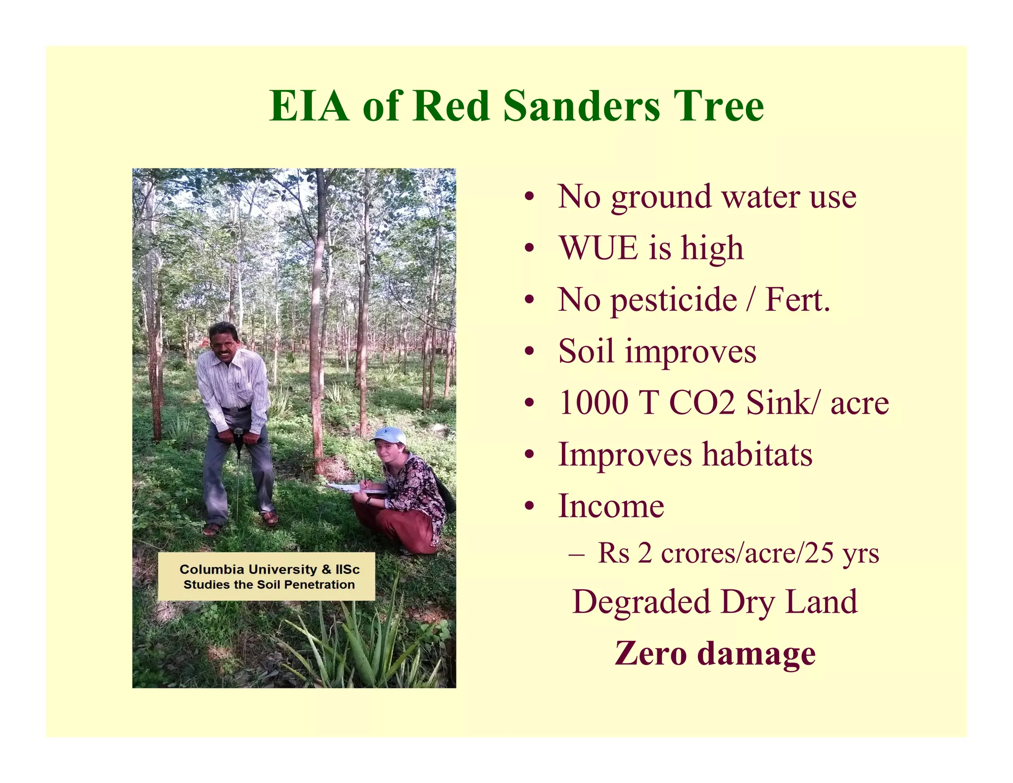 Red sanders is not an Endangered Species. Representation to IUCN by RP ...