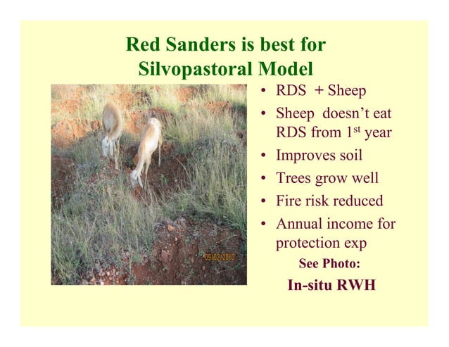 Red sanders is not an Endangered Species. Representation to IUCN by RP ...