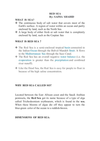 Red sea | DOCX