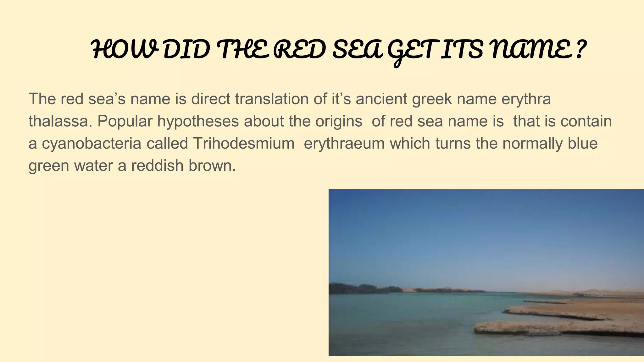 RED SEA.pptx