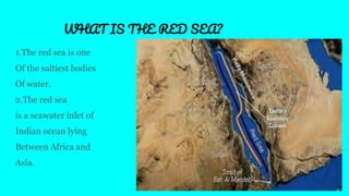 RED SEA.pptx
