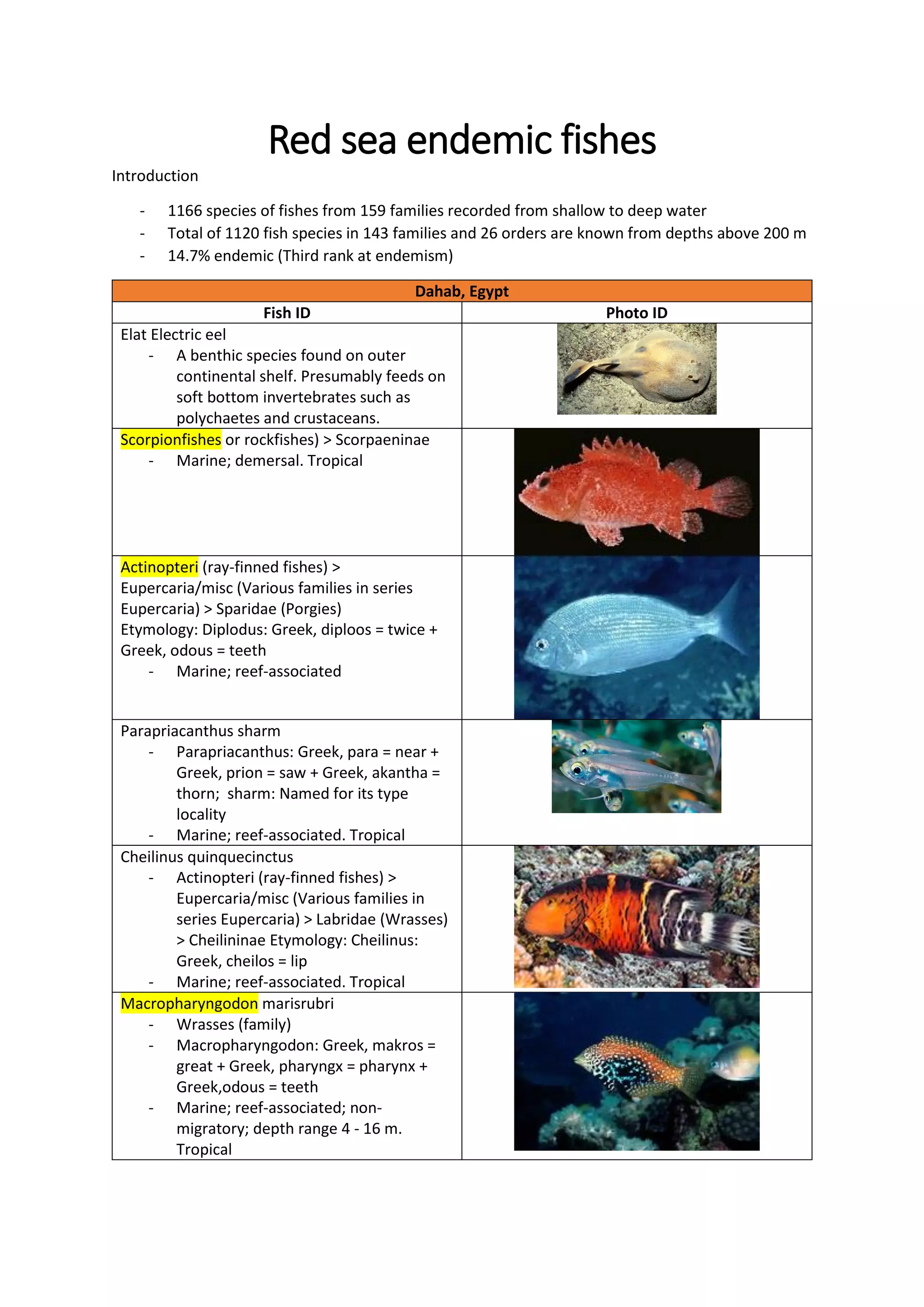 Red sea endemic fishes in Egyptian coast | PDF