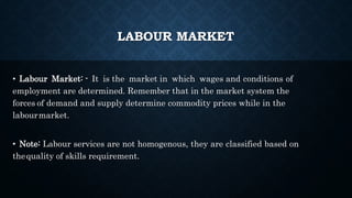 RED SEA University Labor Economics.pptx
