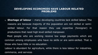 RED SEA University Labor Economics.pptx