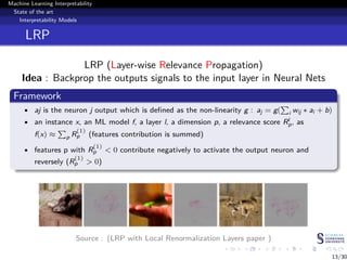 Machine Learning Interpretability / Explainability | PDF