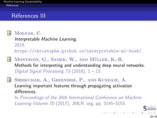 Machine Learning Interpretability / Explainability | PDF