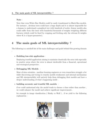 Reds interpretability report | PDF