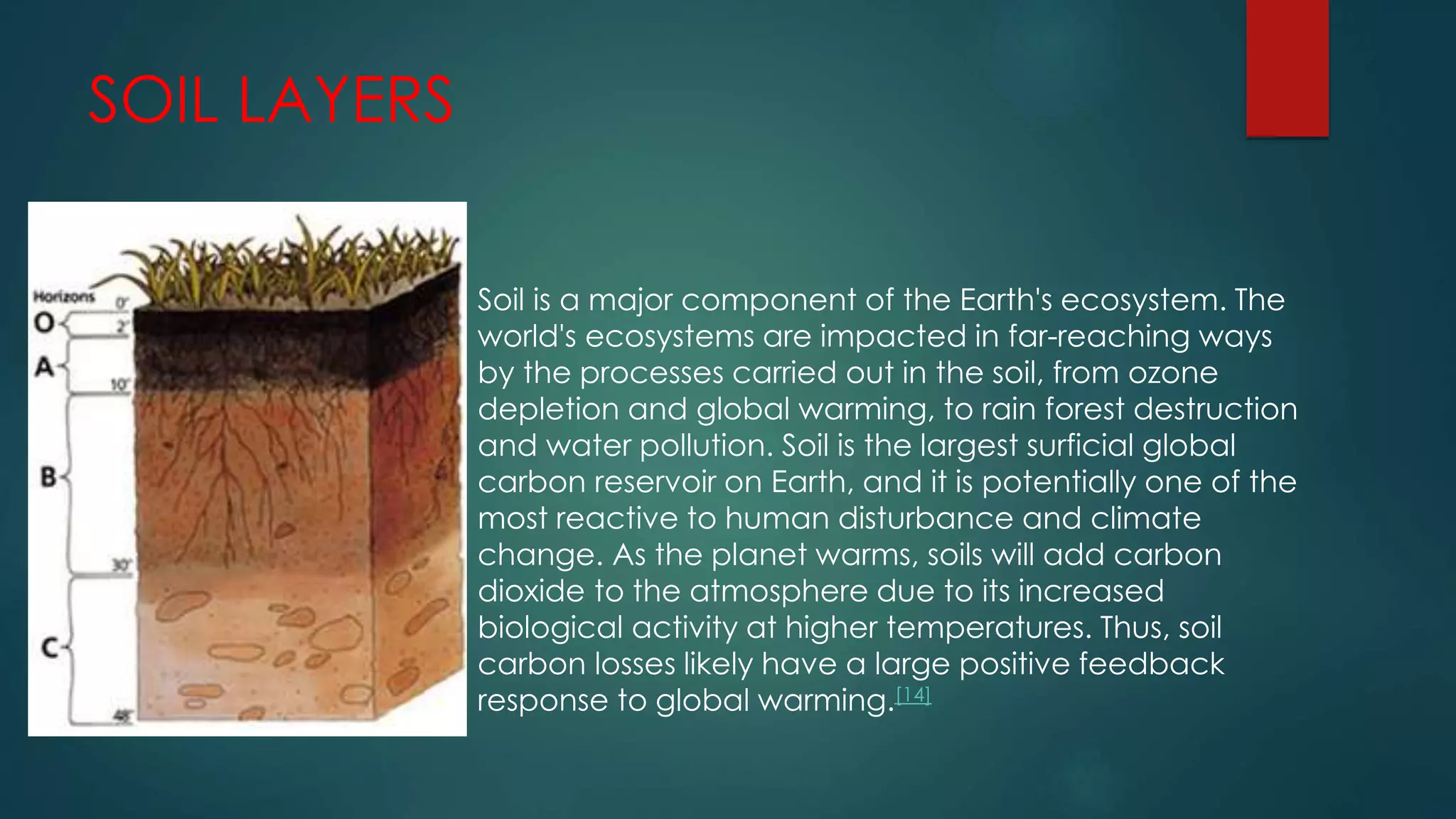 soils and Red soil with animations | PPTX