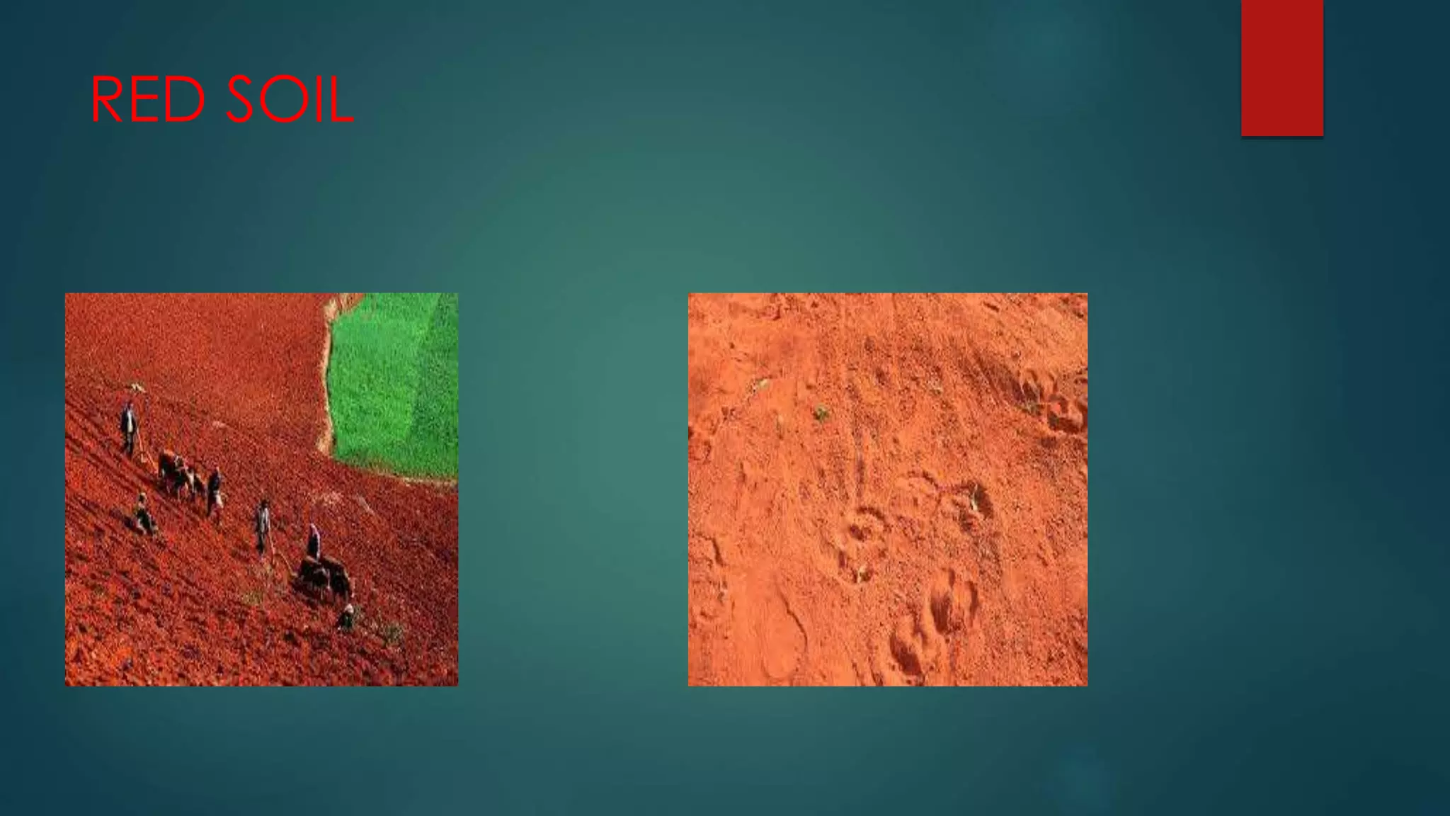 soils and Red soil with animations | PPTX