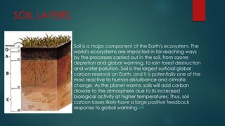 soils and Red soil with animations | PPTX