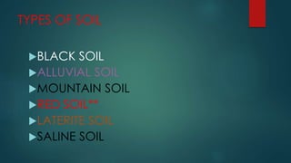 soils and Red soil with animations | PPTX