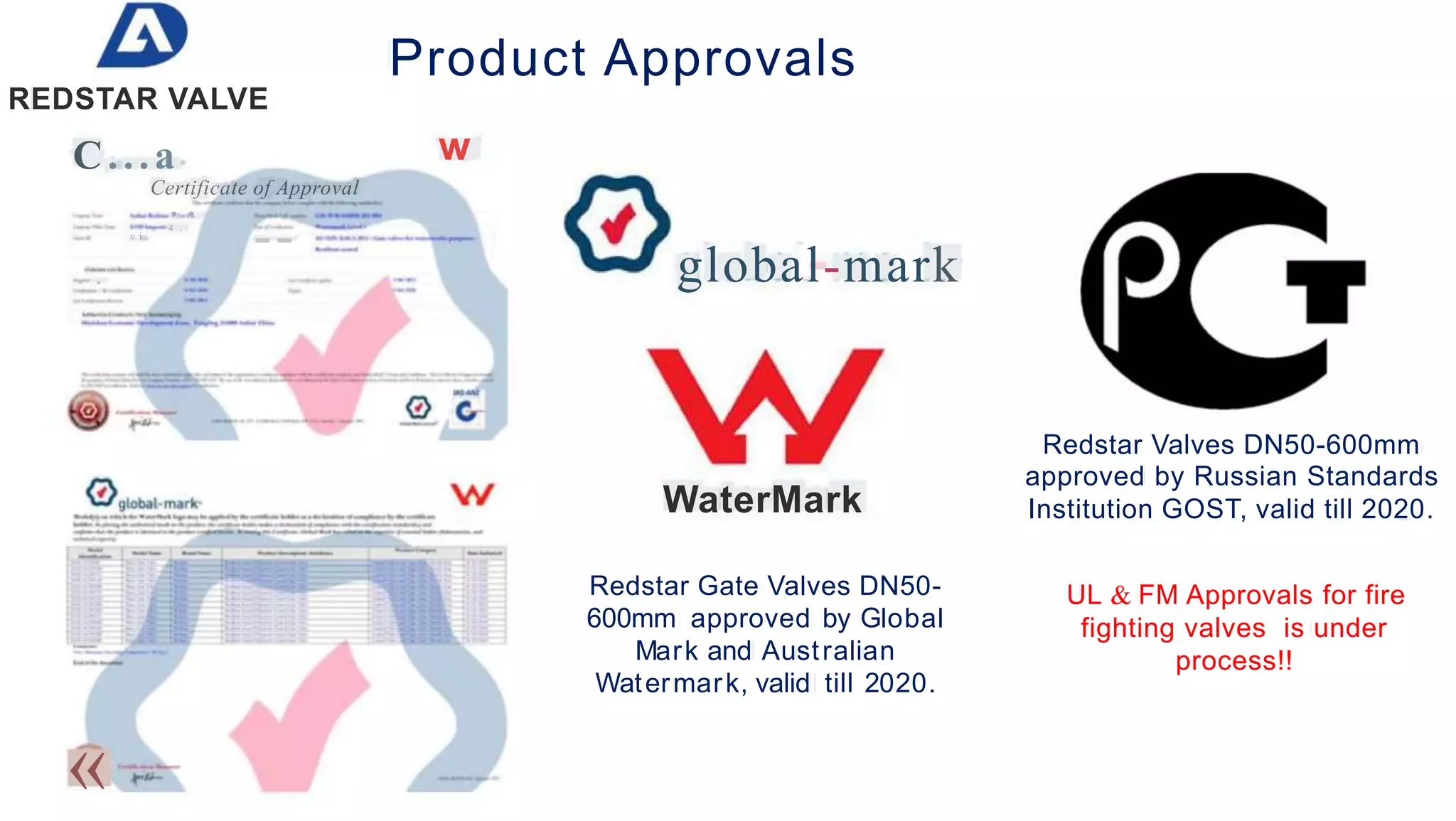 Redstar Valve Co. Presentation -.pptx