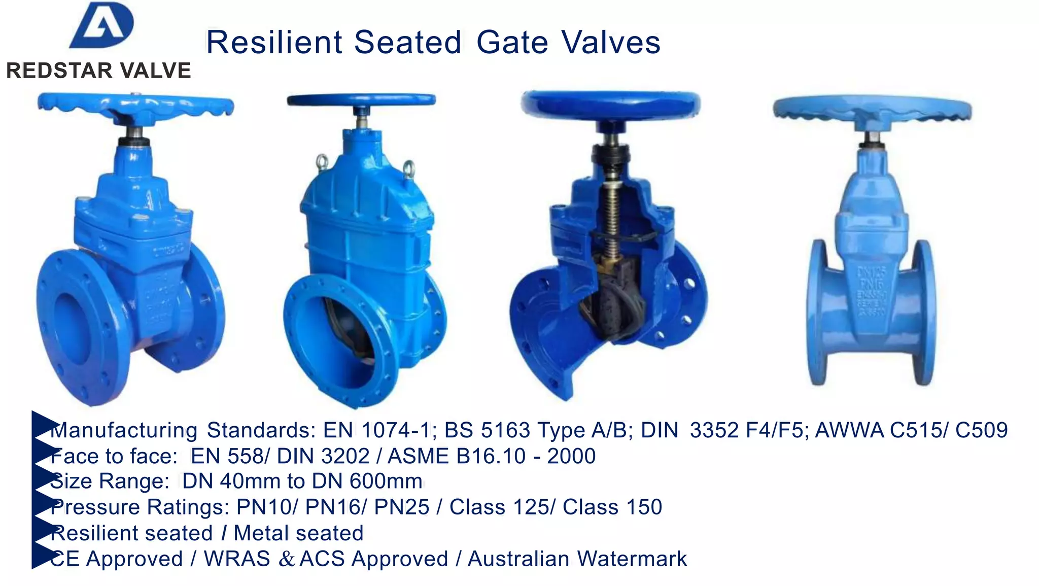 Redstar Valve Co. Presentation -.pptx