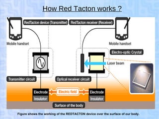 Redtacton Presentation | PPT