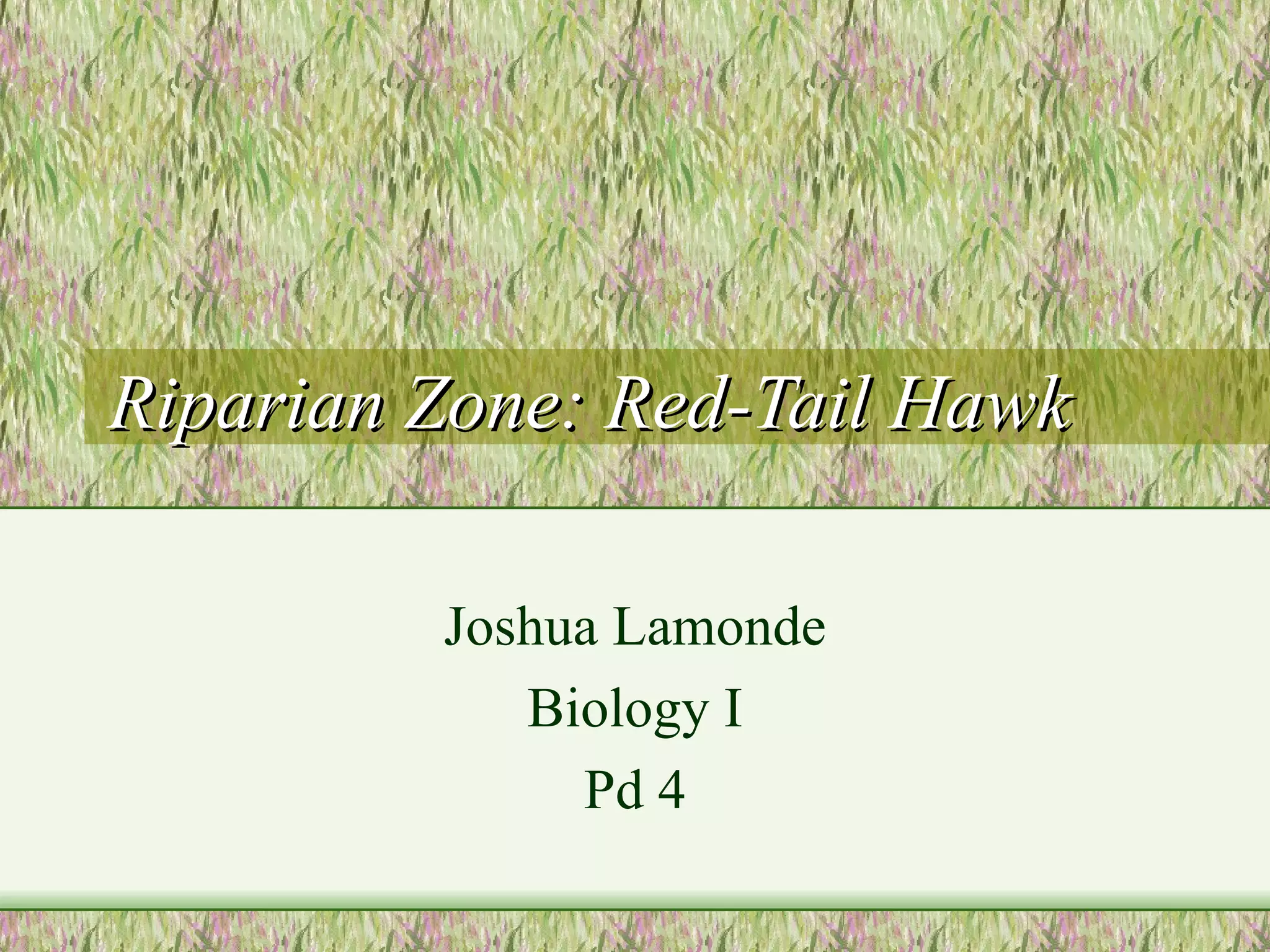Josh Lamonde, Pd.4, Red Tail Hawk | PPT | Geography | Science
