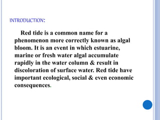 Red tide effect on marine fauna | PPTX