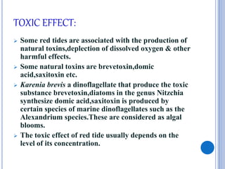 Red tide effect on marine fauna | PPTX