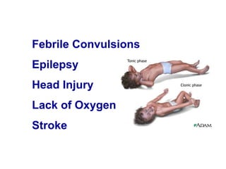 Redtrain Parent First Aid - Paediatric First Aid for Parents | PPTX ...